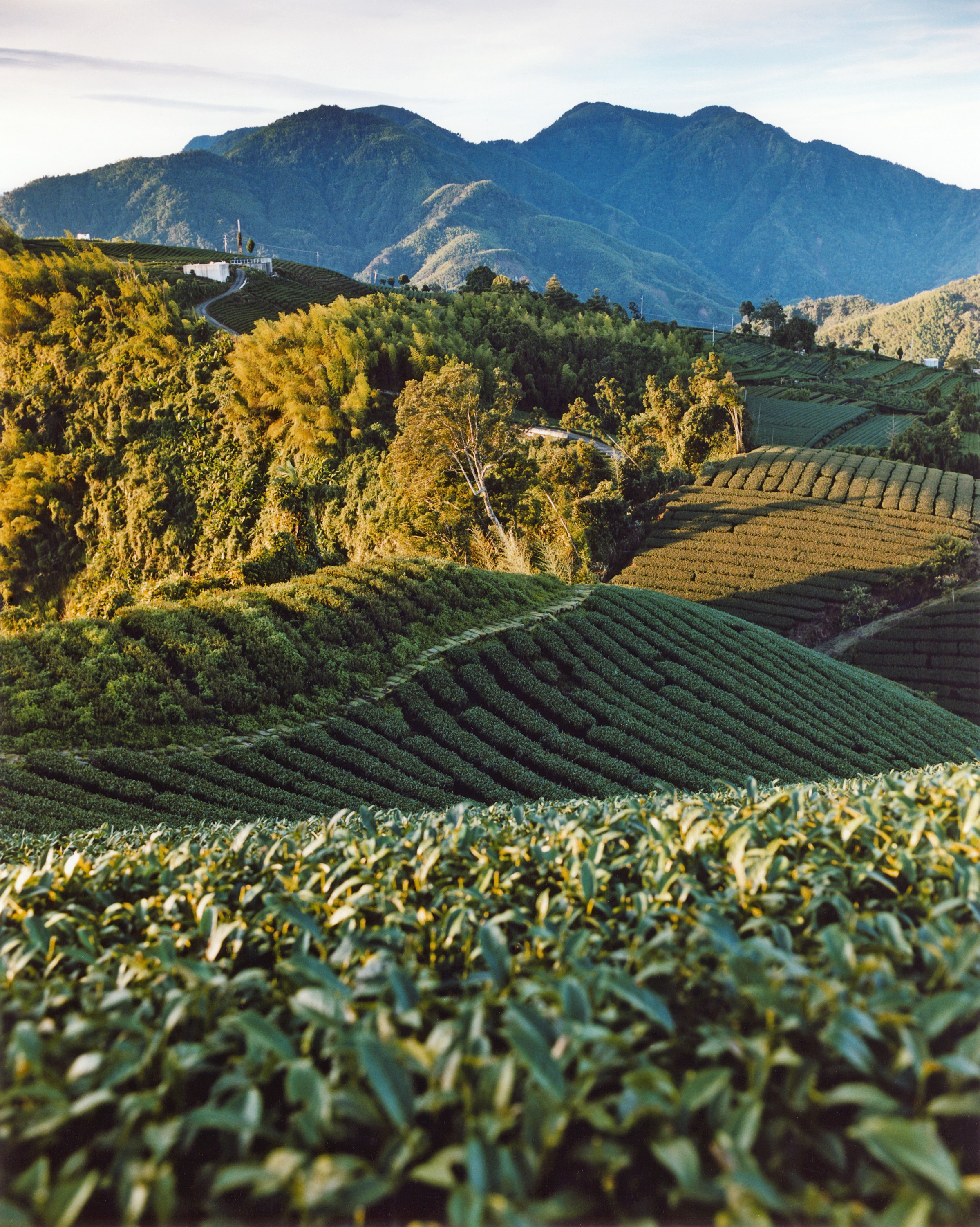 Western Taiwan travel - Lonely Planet | Taiwan, Asia
