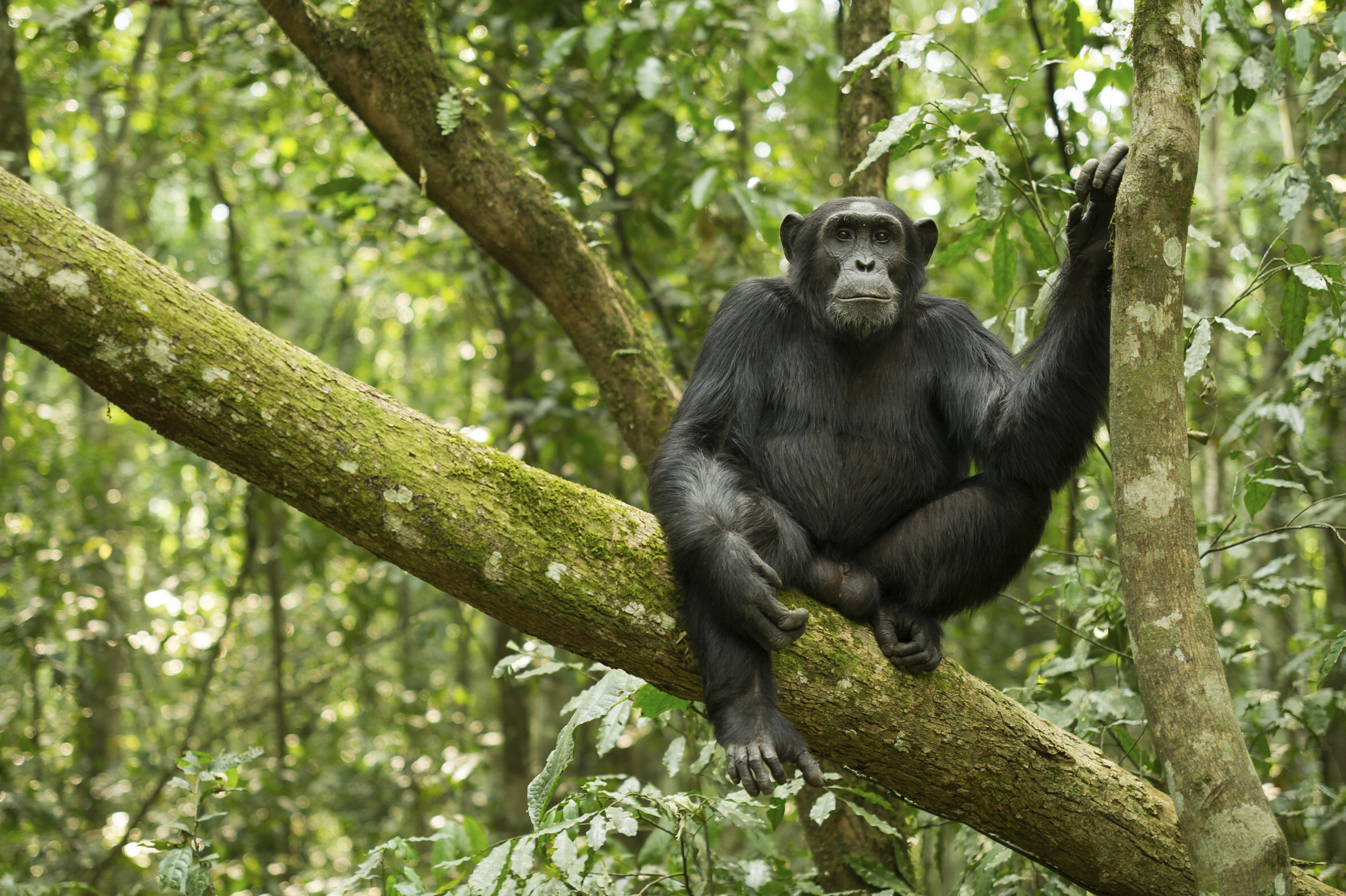 Uganda travel - Lonely Planet | Africa