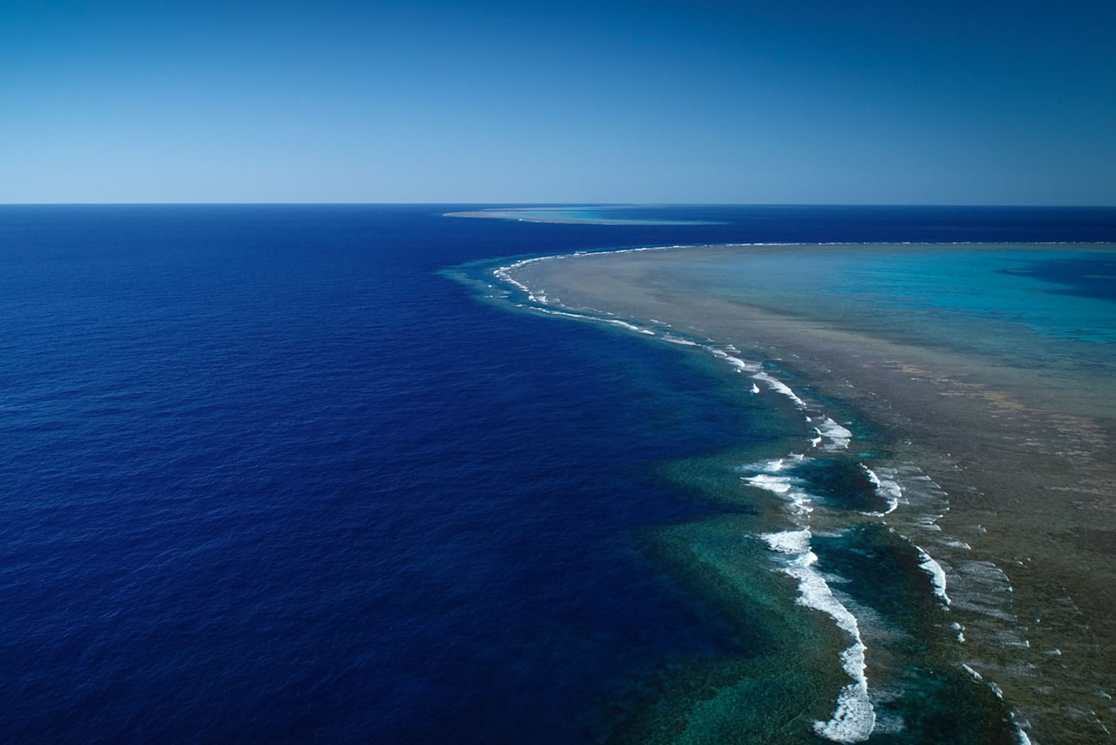 Scientists discover a coral reef that’s taller than a skyscraper ...
