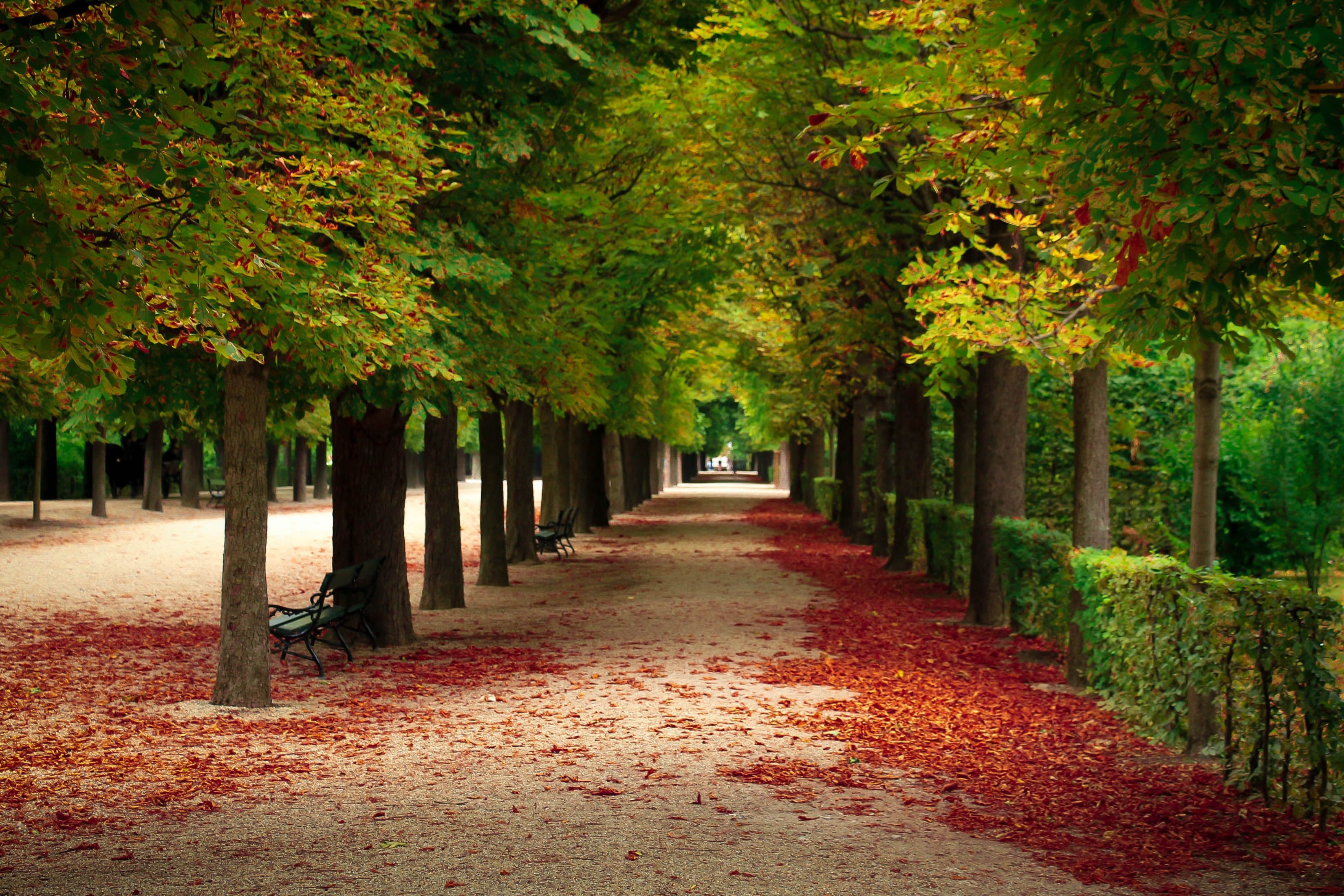 Best parks in Vienna - Lonely Planet