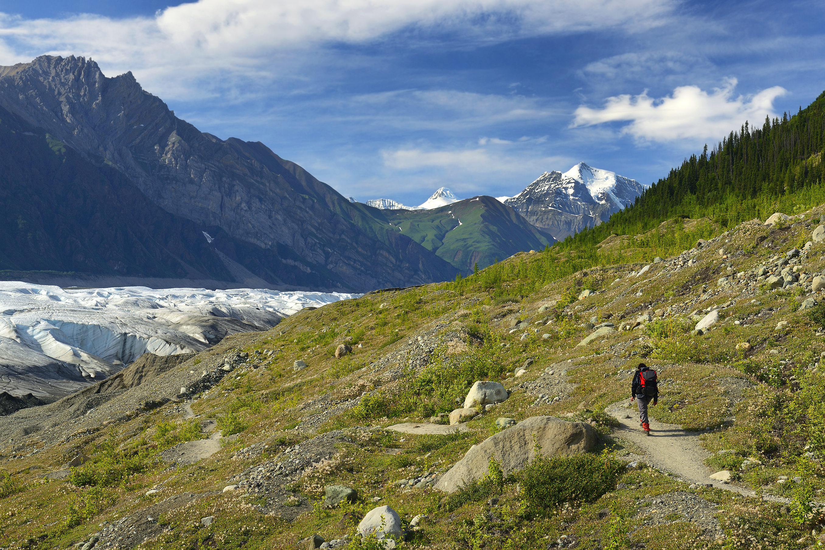 Introducing the United States' 63 national parks - Lonely Planet