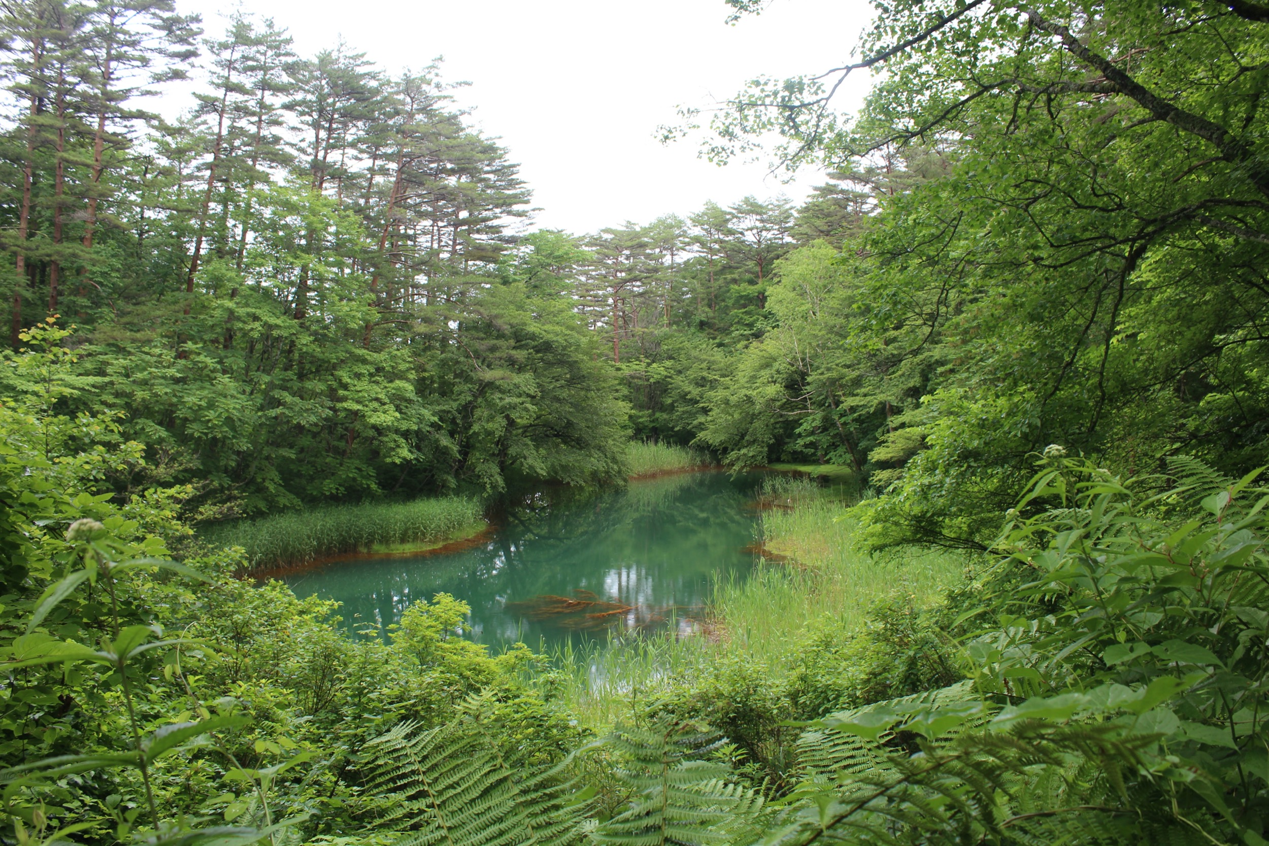 Cultural gems of Japan’s Bandai-Asahi National Park – Lonely Planet ...