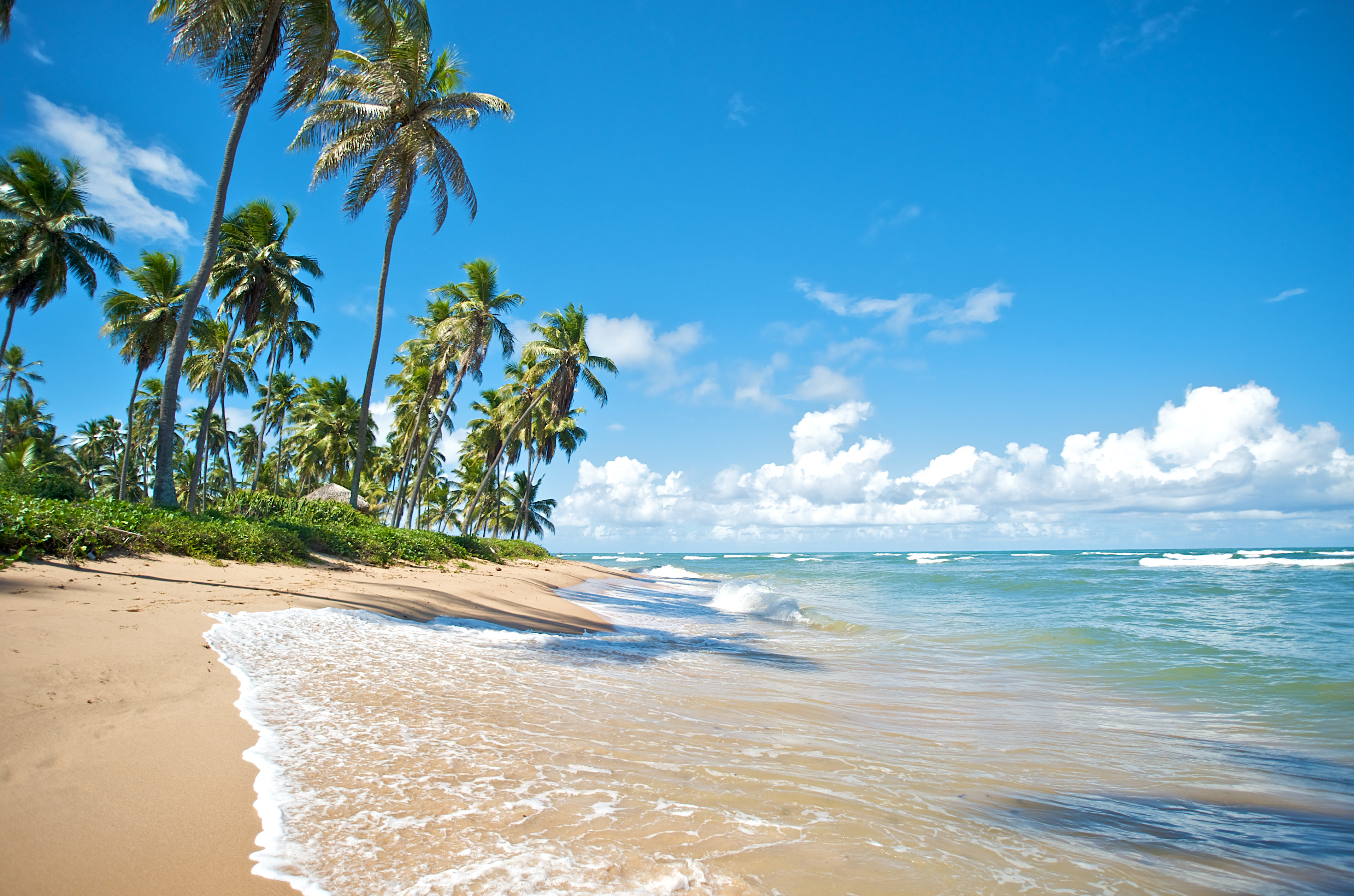Best beaches in Brazil - Lonely Planet
