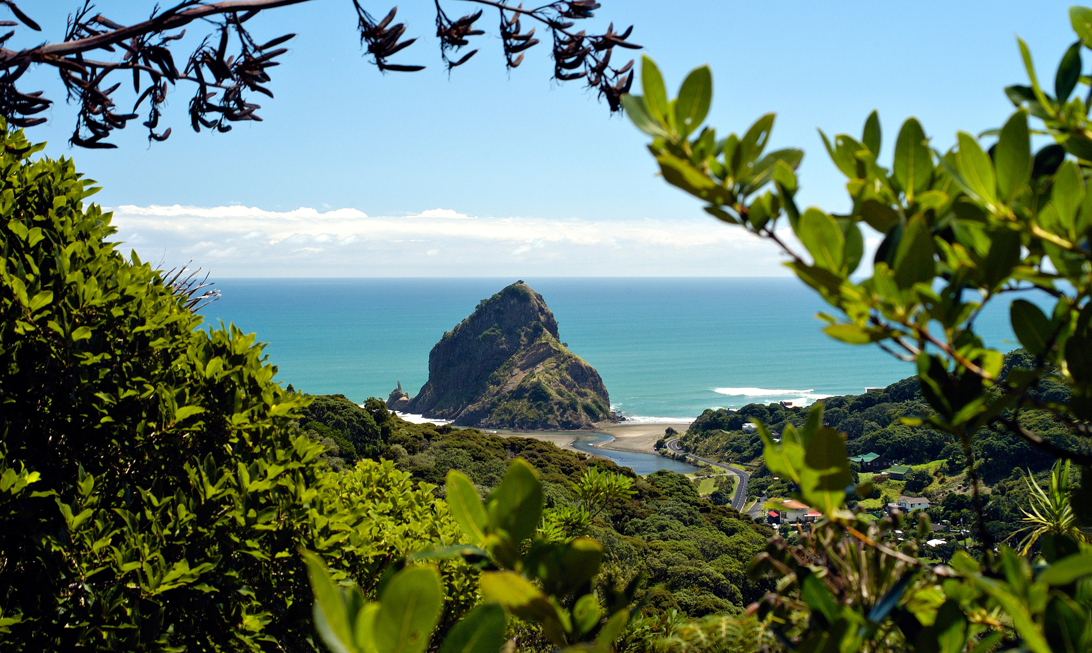 Auckland travel - Lonely Planet | New Zealand, Australia & Pacific