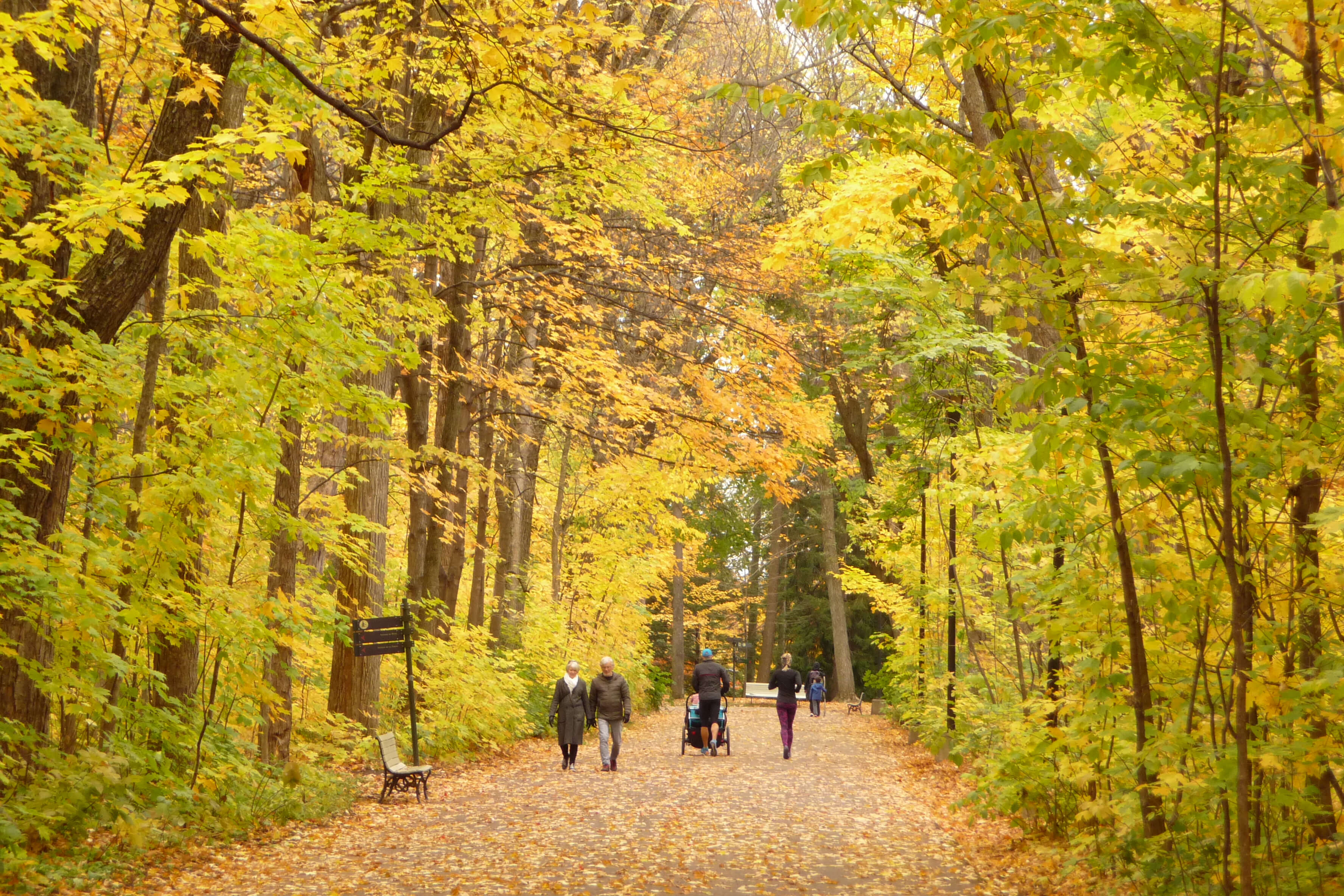 Best parks in Quebec City - Lonely Planet