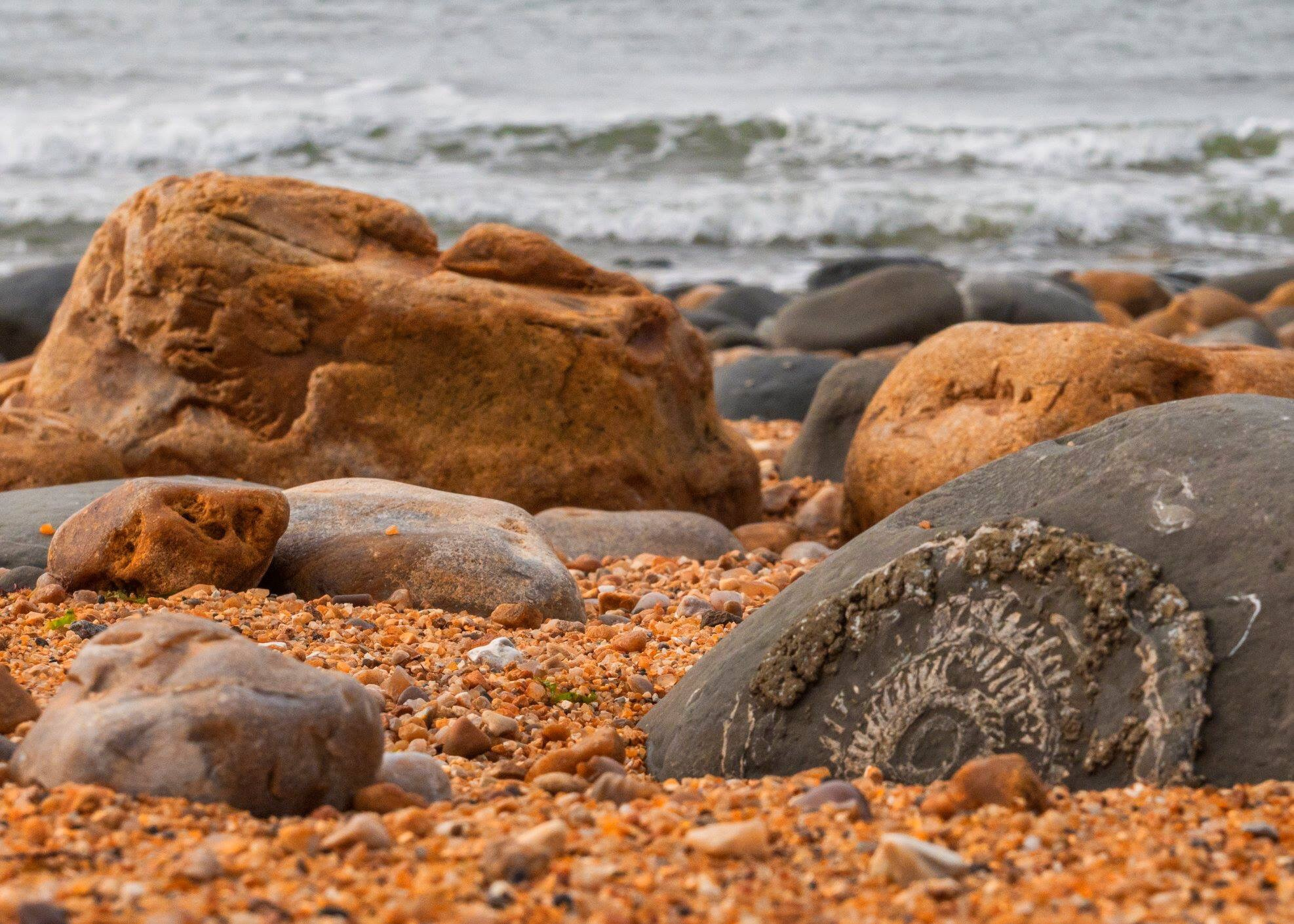 The ultimate guide to the Jurassic Coast - Lonely Planet