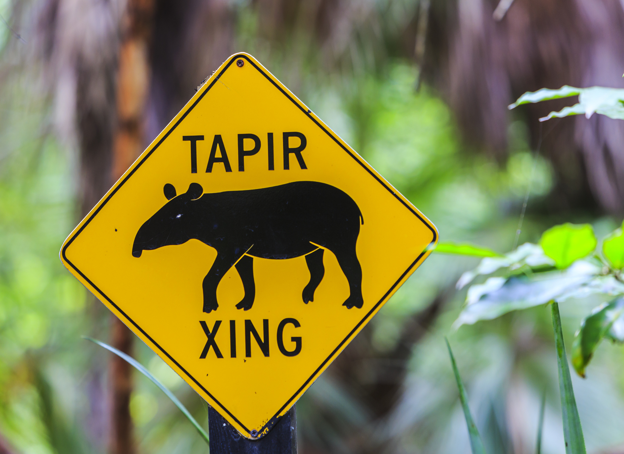 5 of the best road trips in Belize - Lonely Planet
