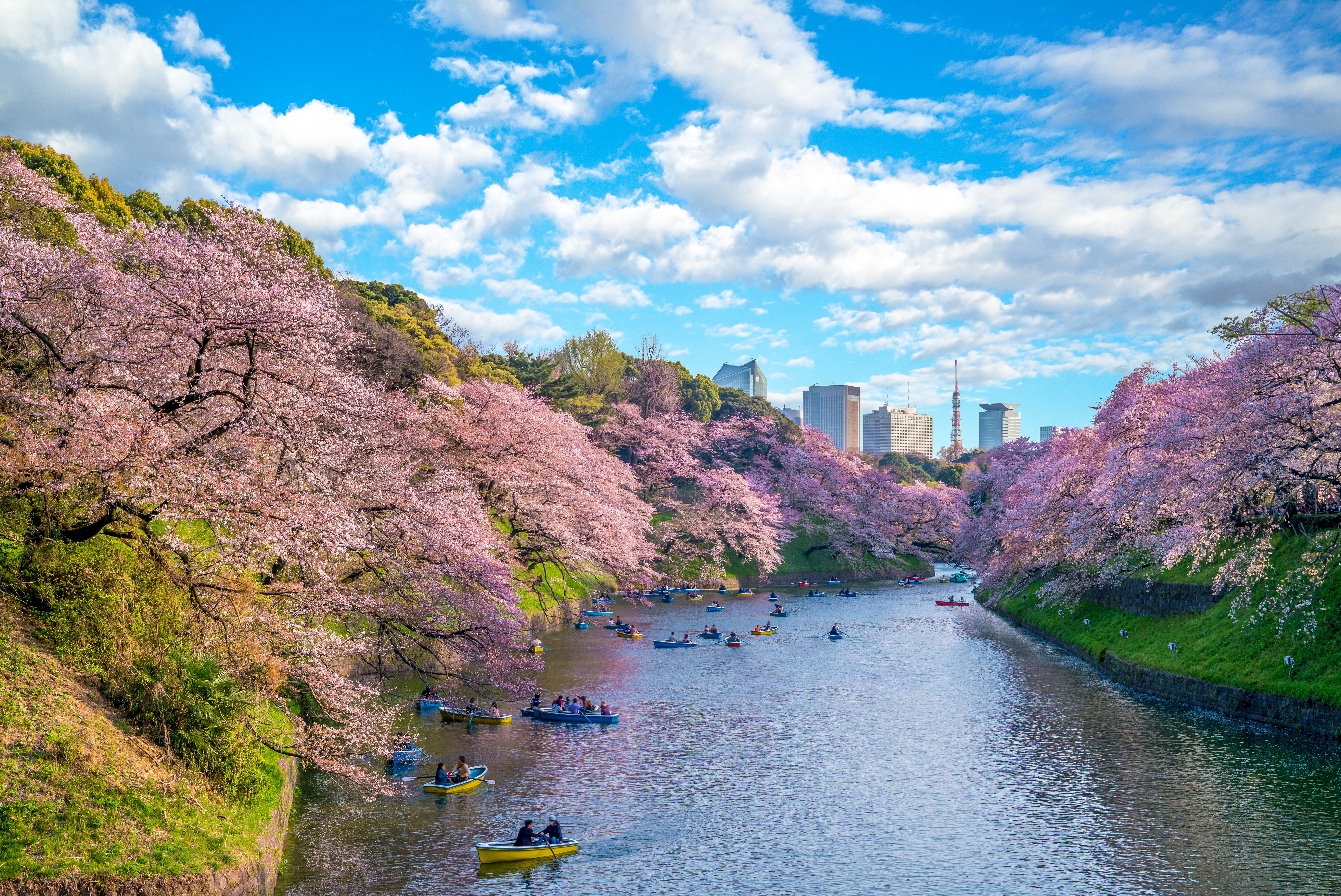 Experience Tokyo - Lonely Planet | Japan, Asia | Japan, Asia