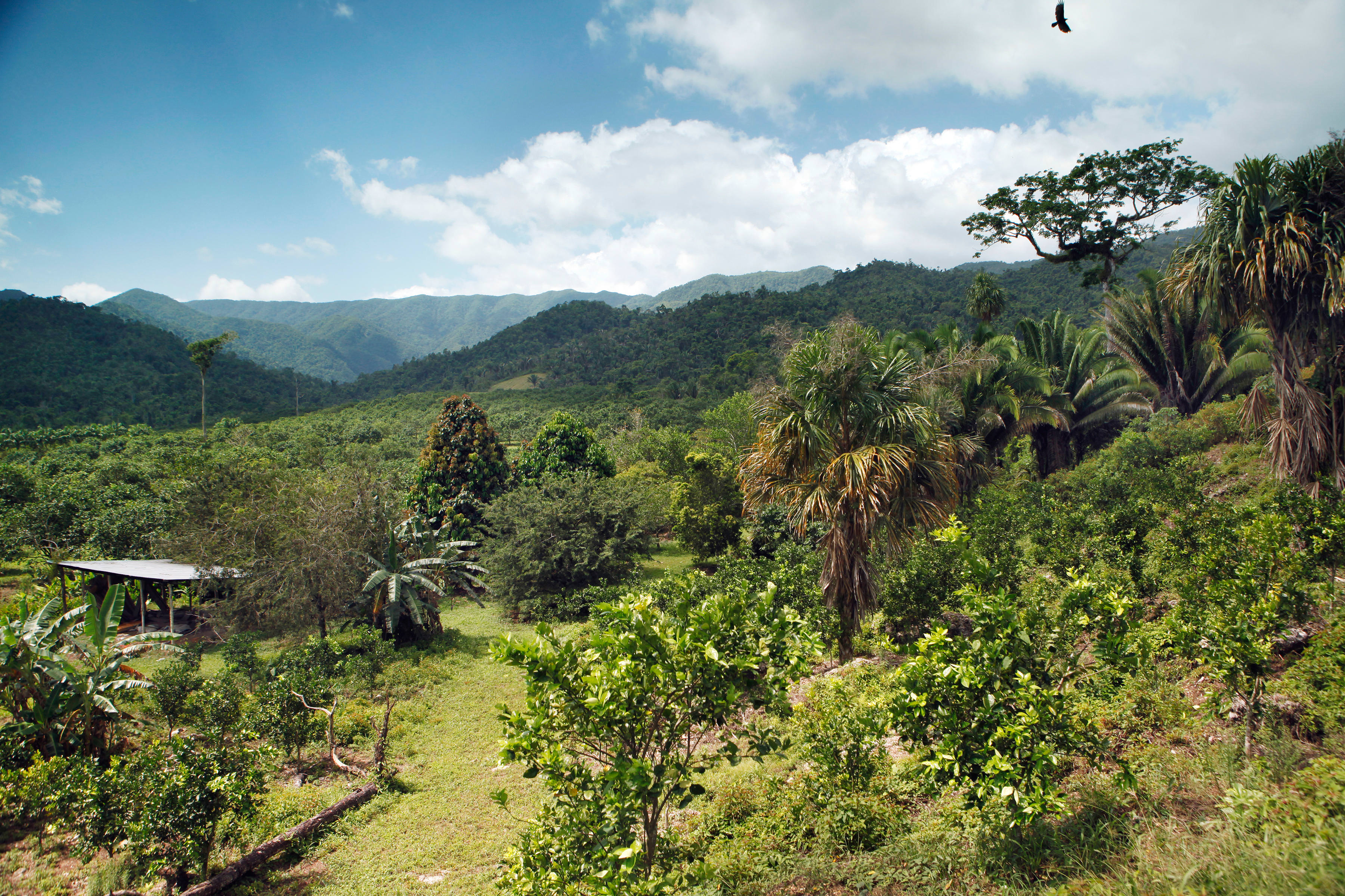Complete guide to Belize - Lonely Planet | Central America | Central ...
