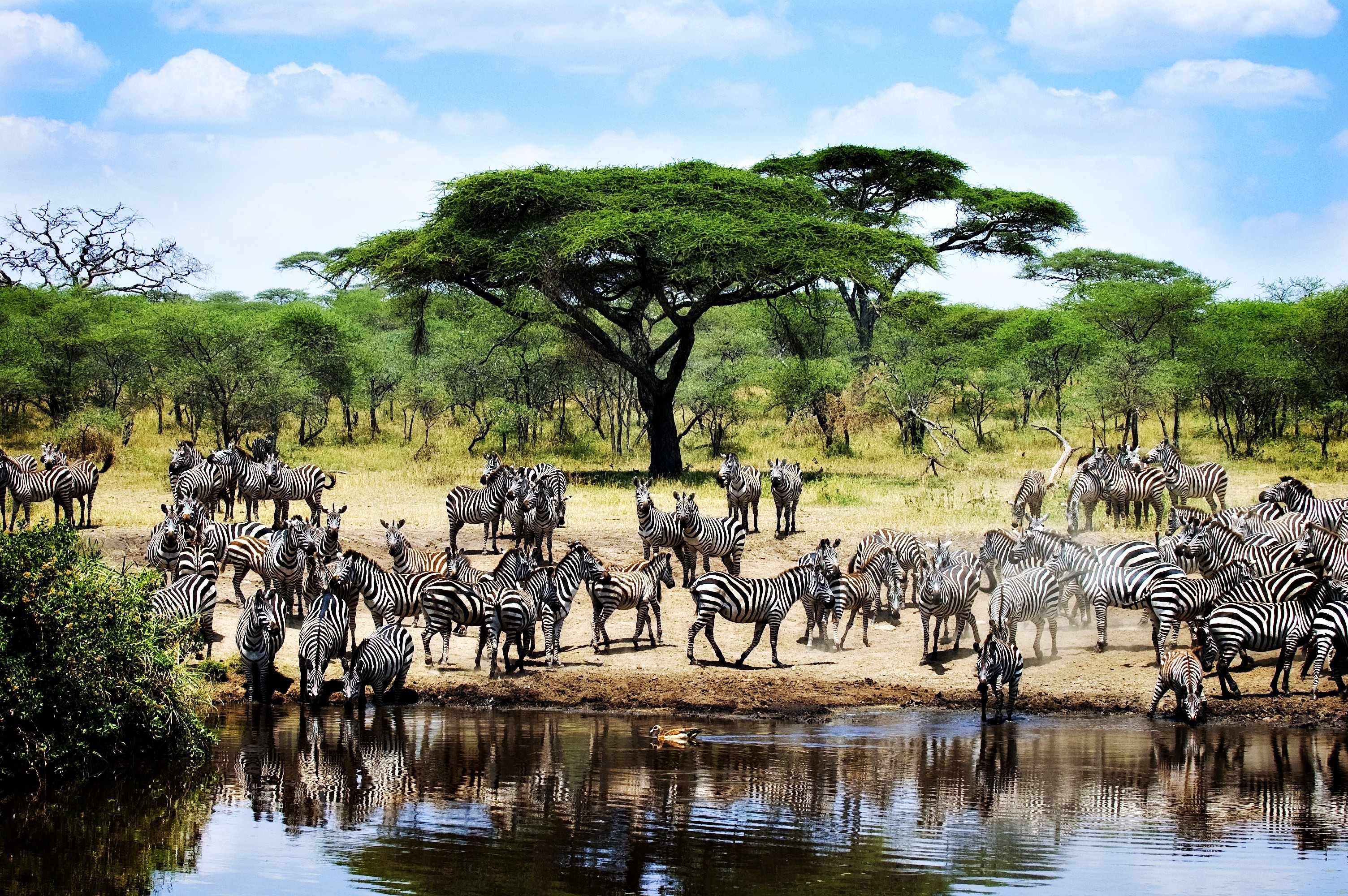 Tanzania travel - Lonely Planet | Africa
