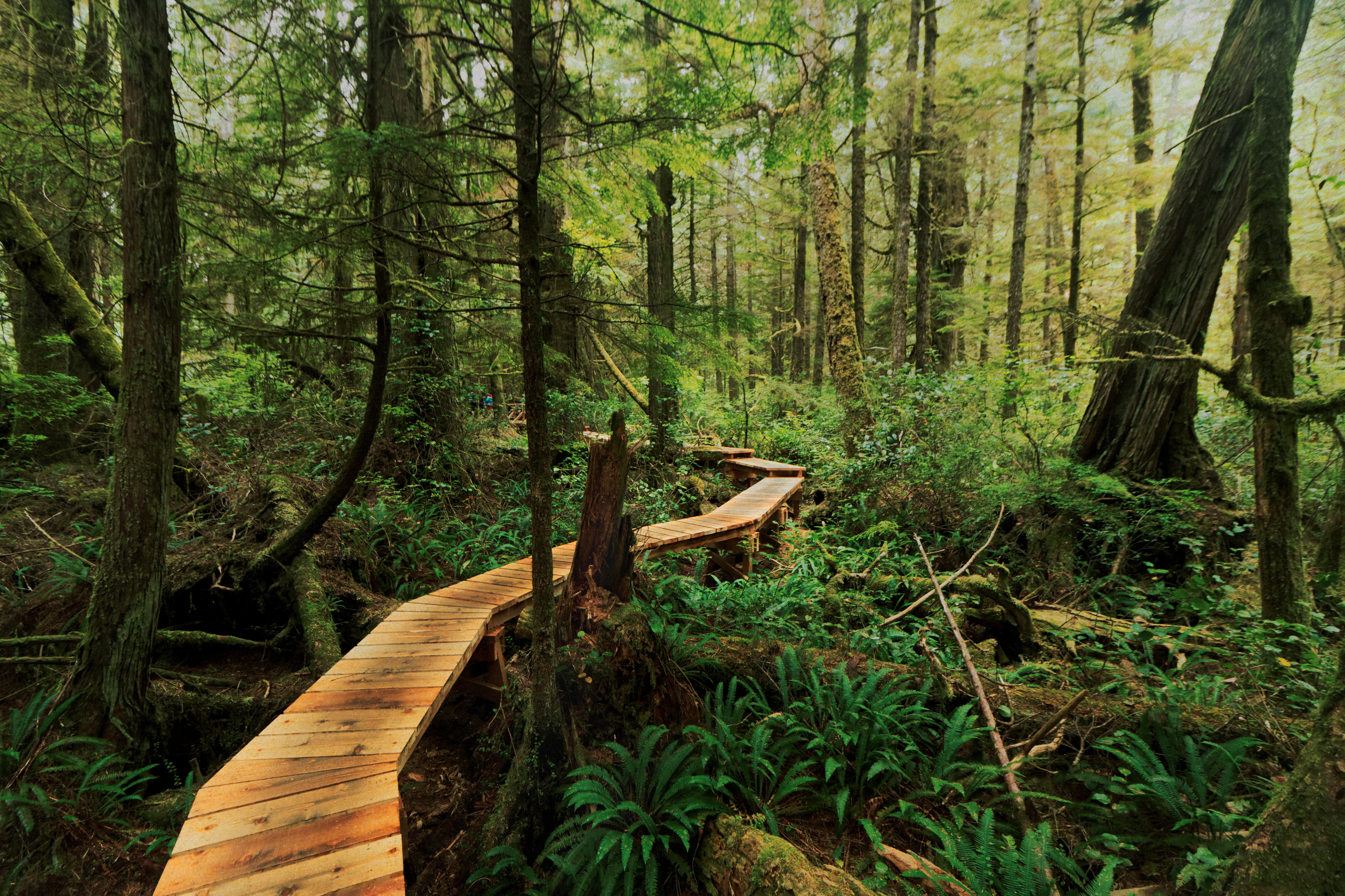 British Columbia travel - Lonely Planet | Canada, North America