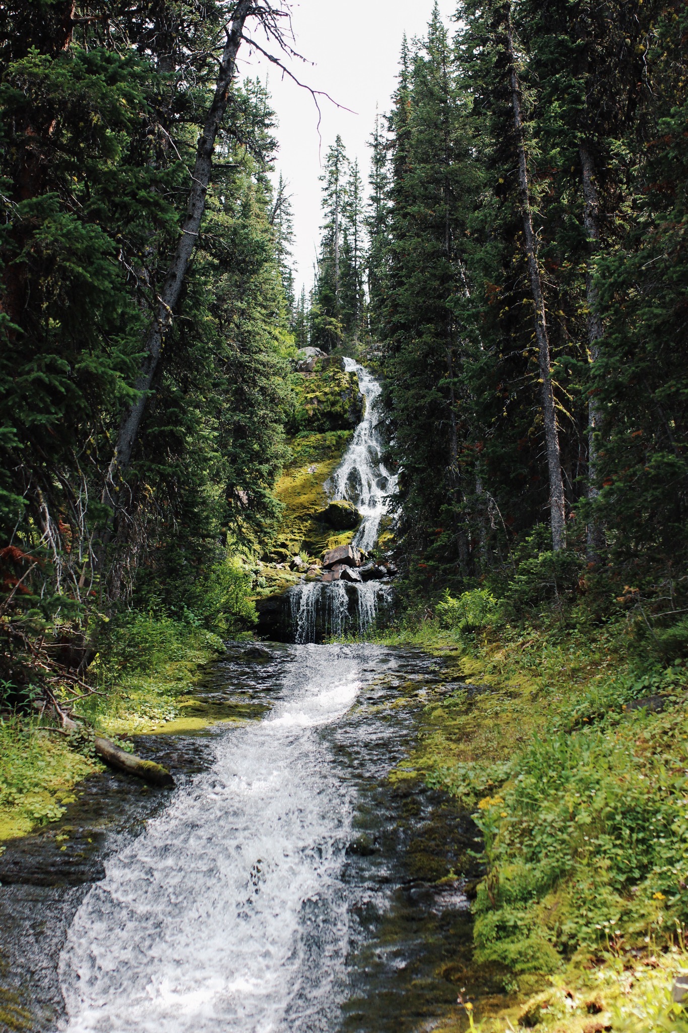 Best hikes in Bozeman - Lonely Planet