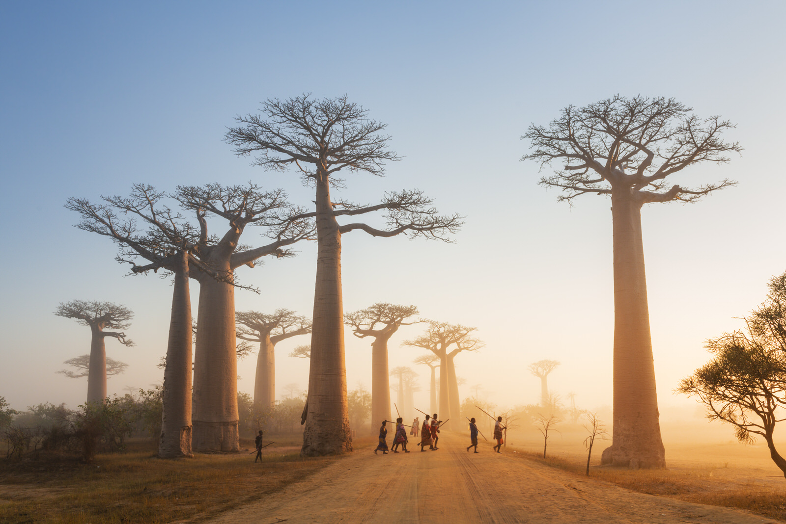 Madagascar: an island unlike any other - Lonely Planet