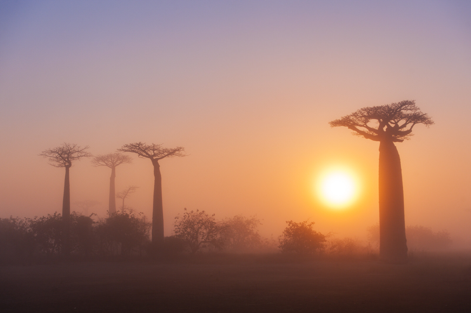 Madagascar: an island unlike any other - Lonely Planet