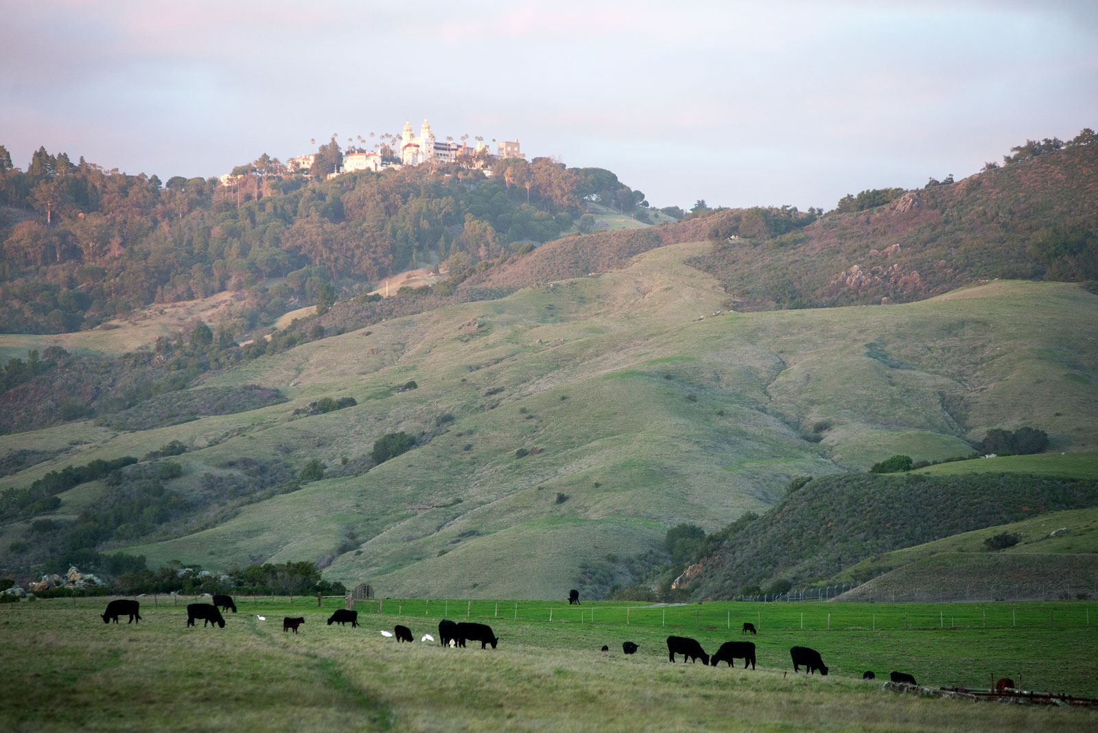 Scenic Big Sur: top sights on your Highway 1 road trip - Lonely Planet