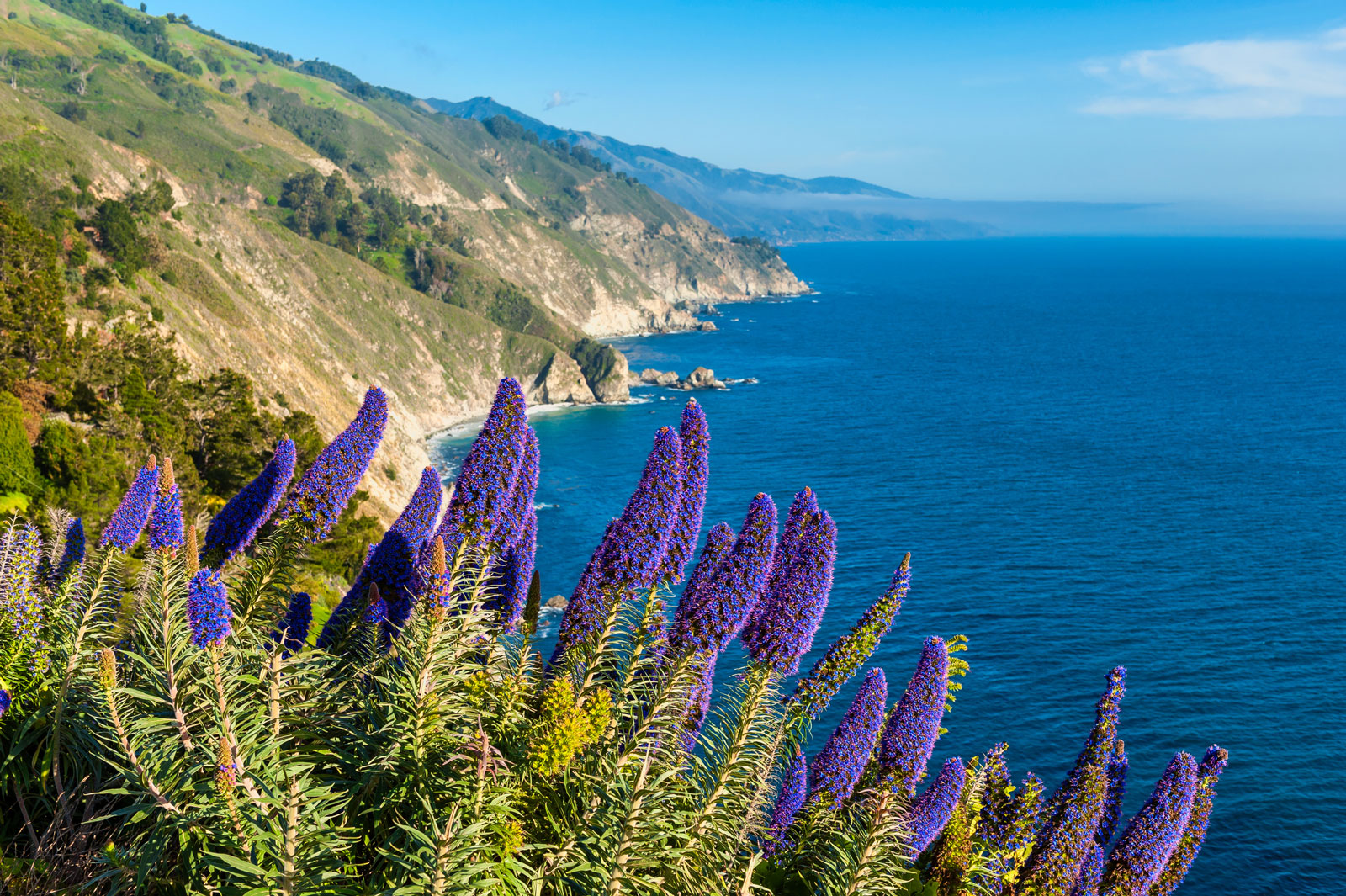 Scenic Big Sur: top sights on your Highway 1 road trip - Lonely Planet