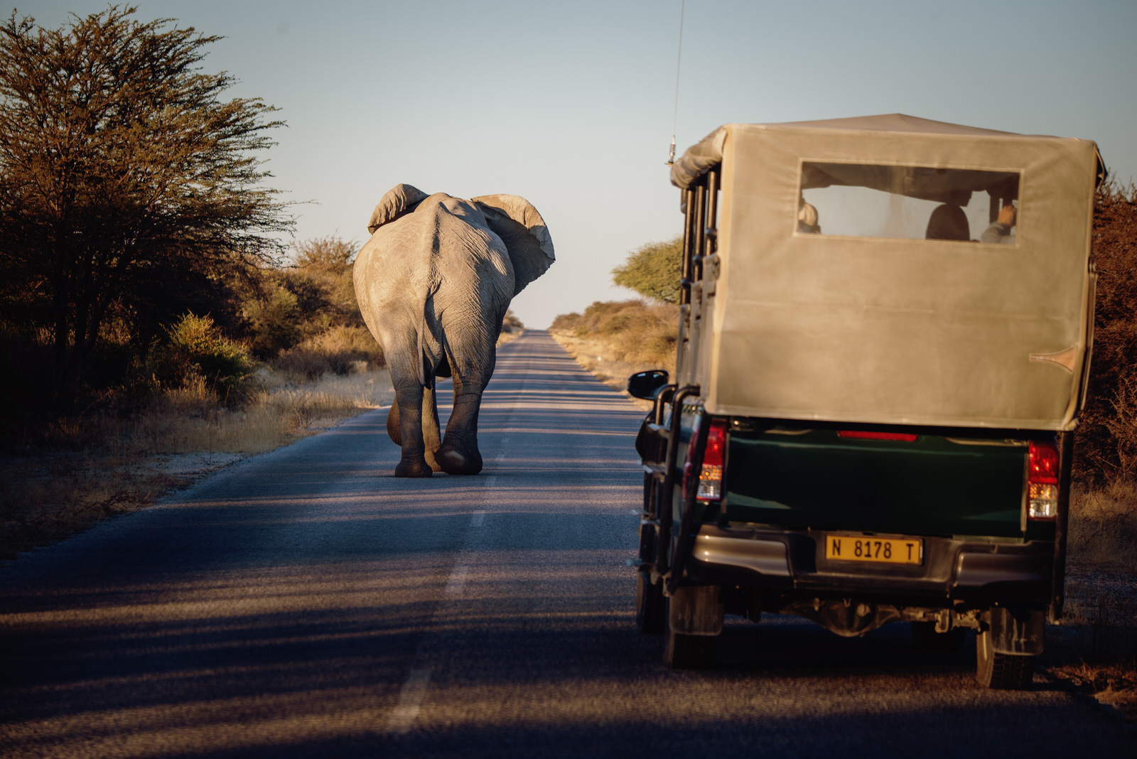 The 8 best destinations for an RV trip - Lonely Planet
