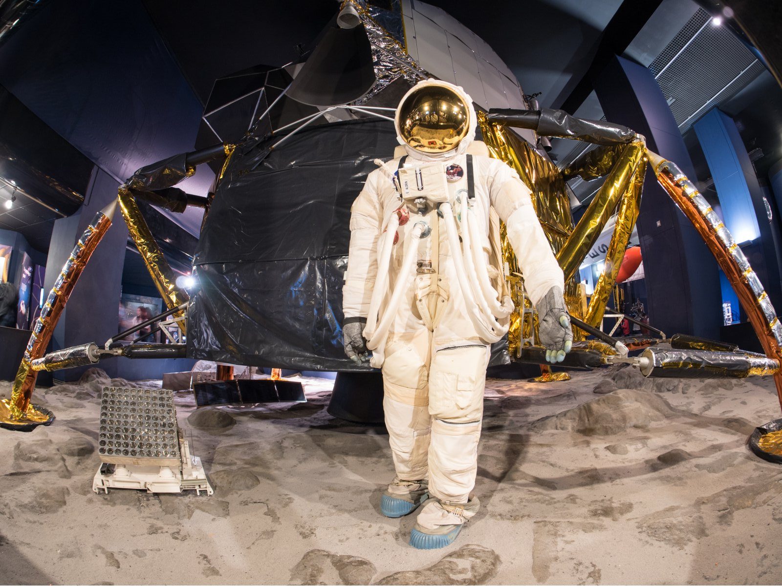 Best free things to do in London with kids – Lonely Planet - Lonely Planet