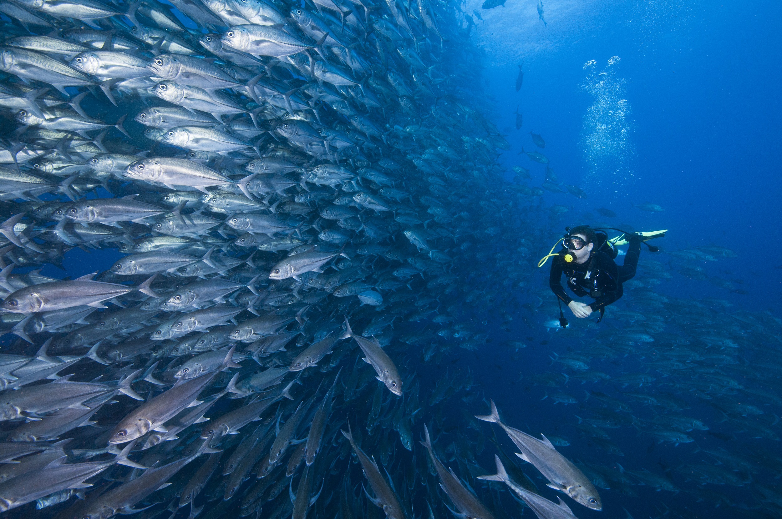 8 Costa Rica activities for adventure seekers - Lonely Planet