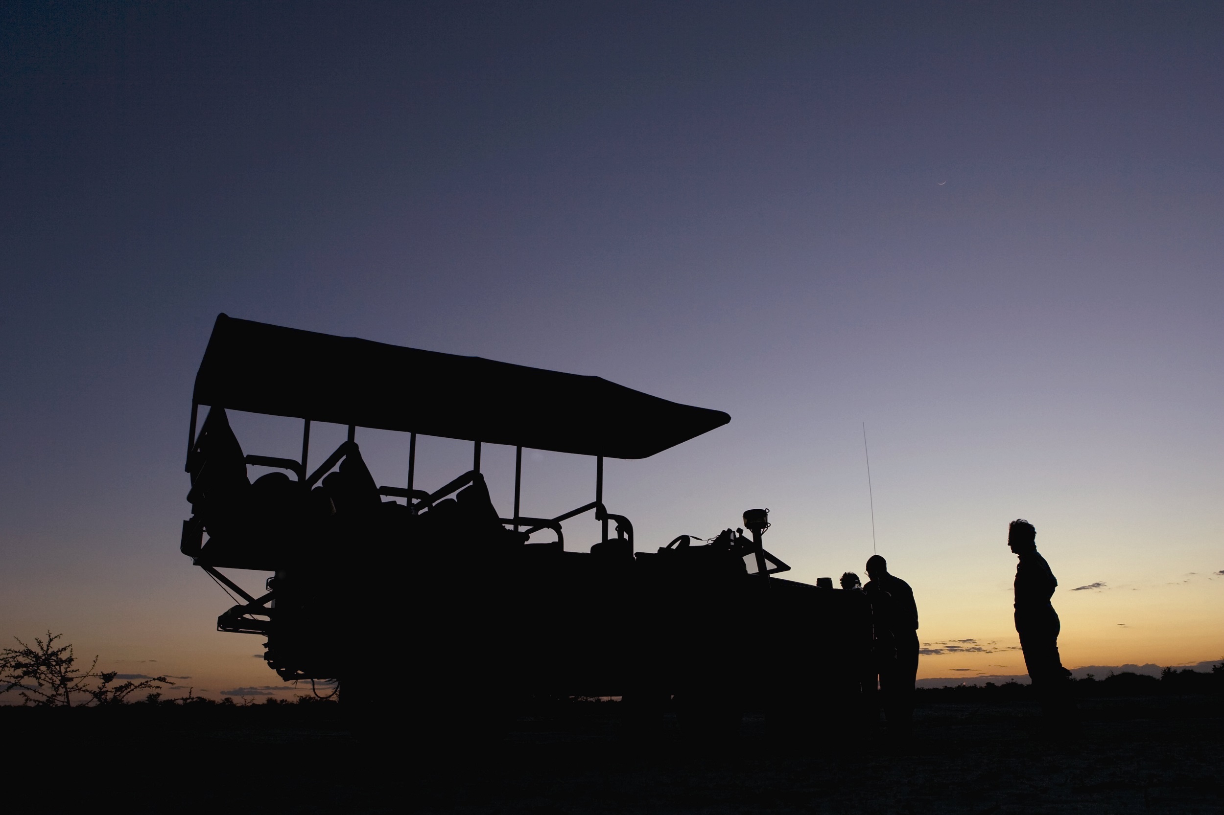 African safaris: what to expect – Lonely Planet - Lonely Planet